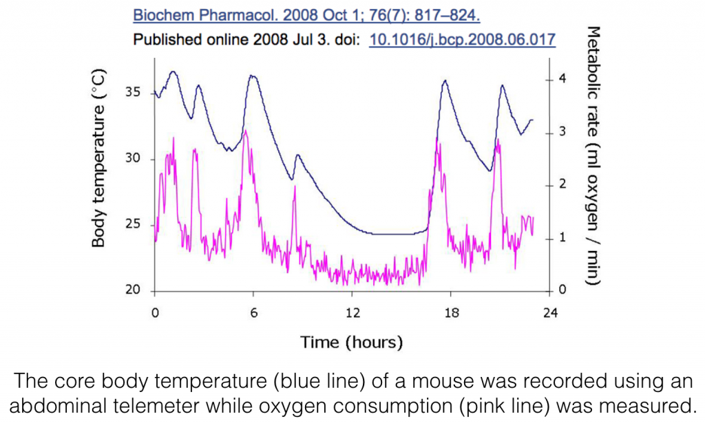Check The Body Temperature – Wilson's Syndrome